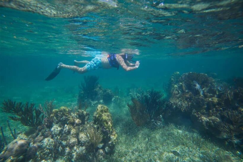 Cancun: Snorkeling Tour with Hotel Pickup - How It Compares