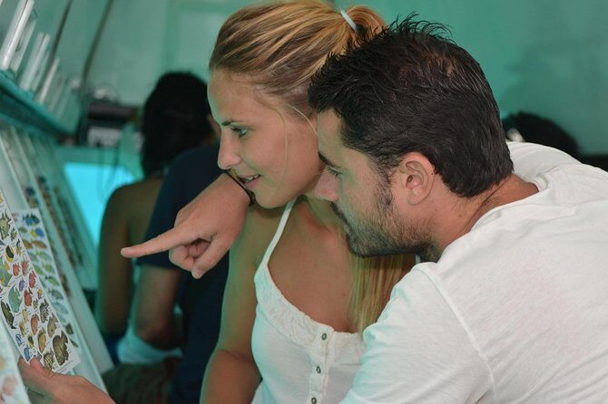 Cancun Submarine and Optional Snorkeling Tour - FAQ Section