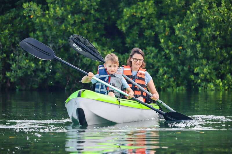 Cancun: Sunset Kayak Experience in the Mangroves - The Itinerary in Detail