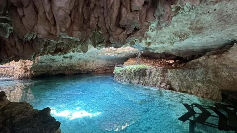 Cancún: Swim and Zipline in Two Cenotes with Lunch - Exploring the Cenotes and Activities