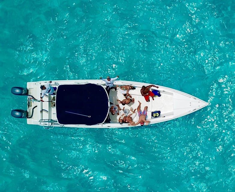 Cancún: Swim with Whale Sharks & Playa Norte Beach - Authentic Experiences and Real Feedback
