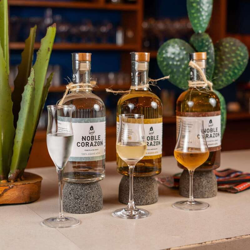Cancun: Tequila Tasting Experience with Pairing - Detailed Experience Breakdown