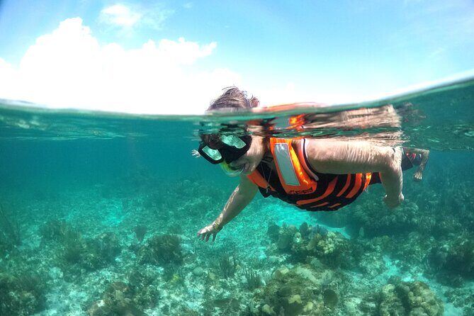 Cancun to isla mujeres catamaran sailing - Who Should Consider This Tour?