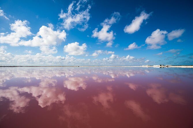 Cancun tour Las Coloradas Pink Lagoon + Rio Lagartos Tour - The Sum Up