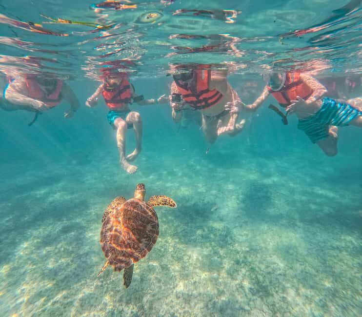Cancun: Tulum Ruins, Akumal Turtles, Cenote & Caves Tour - The Value of This Tour