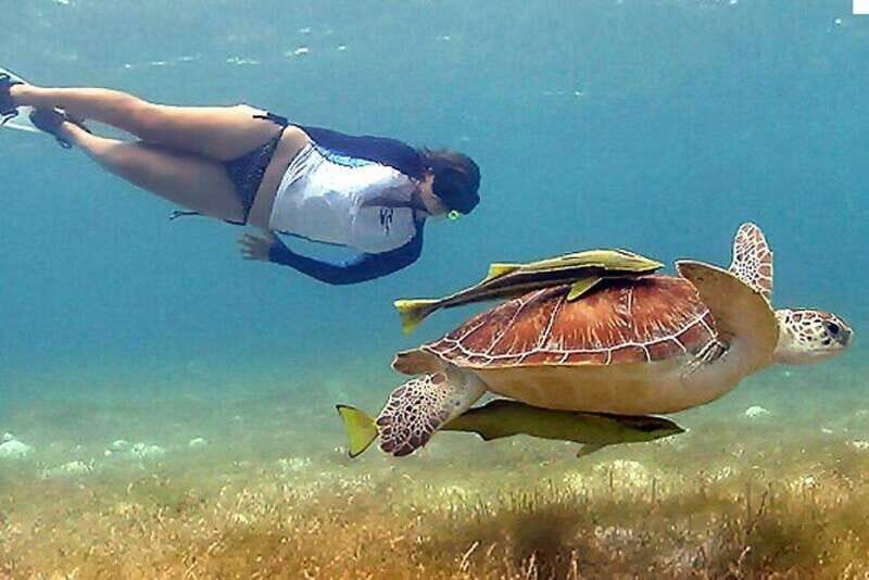Cancun: Tulum Ruins & Snorkeling with Sea Turtles Tour - An In-Depth Look at the Experience