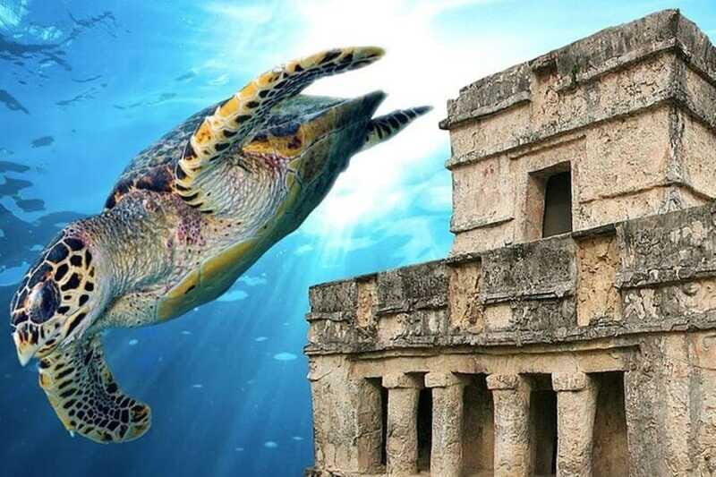 Cancun: Tulum Ruins & Snorkeling with Sea Turtles Tour - Frequently Asked Questions