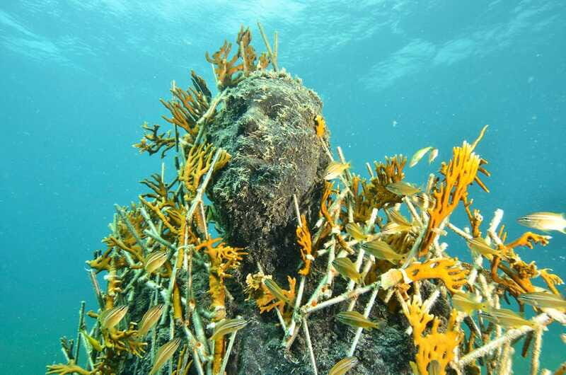 Cancún: Underwater Museum & Reef for Certified Scuba Divers - An In-Depth Look at the Cancún Underwater Museum & Reef Tour