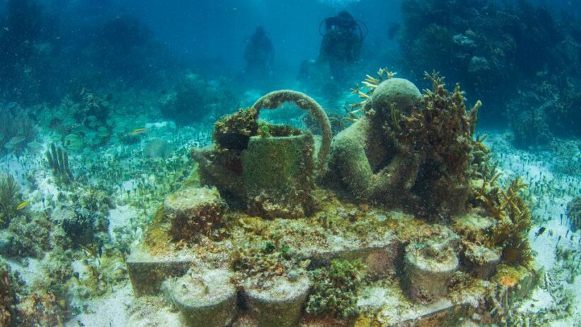 Cancún: Underwater Museum & Reef for Certified Scuba Divers - FAQ