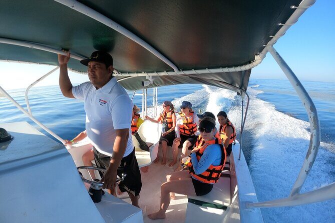 Cancun Whale Shark Experience with Snorkel & Transportation - Who Will Love This Tour?