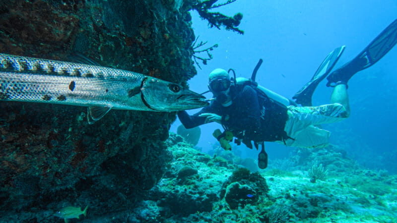 Cancún: Wreck and Reef for Certified Scuba Divers - Setting the Scene: What to Expect on the Tour