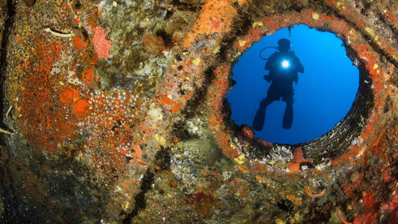 Cancún: Wreck and Reef for Certified Scuba Divers - The Dive Itinerary in Detail