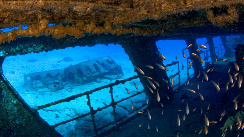 Cancún: Wreck and Reef for Certified Scuba Divers - Who Will Enjoy This Tour?