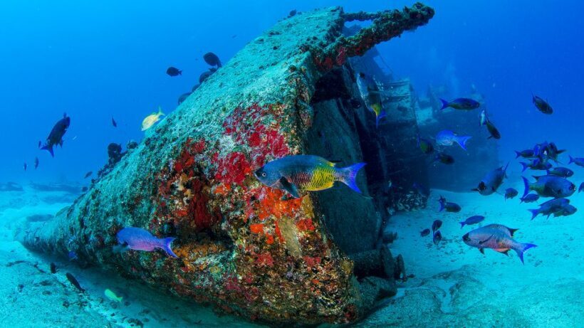 Cancún: Wreck and Reef for Certified Scuba Divers - In The Sum Up: Is This Tour Worth It?