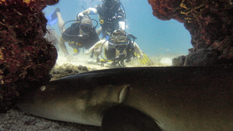 Cancún: Wreck and Reef for Certified Scuba Divers - FAQ