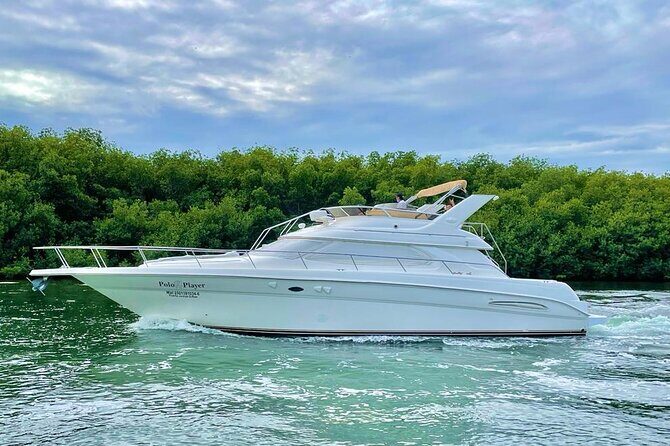 Cancun Yacht Tour - SEARAY YACHT 46 FT GREAT FOR SUNSET 15 PEOPLE MAX 25P9 - Authentic Experiences and Guest Feedback