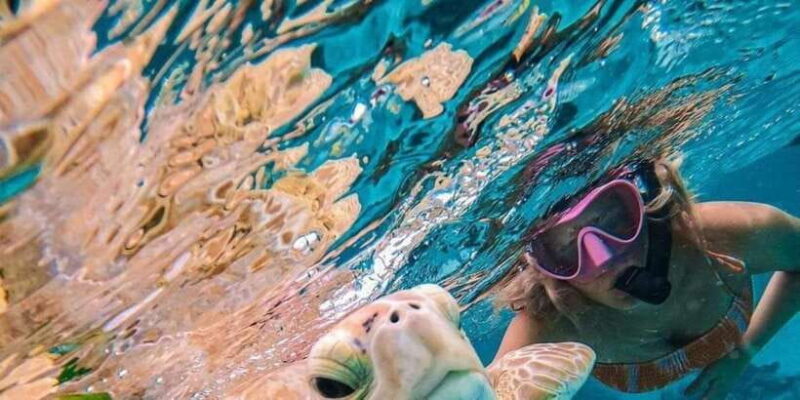 Candidasa : Best of Snorkling "Blue lagoon & Tanjung Jepun" - Key Points