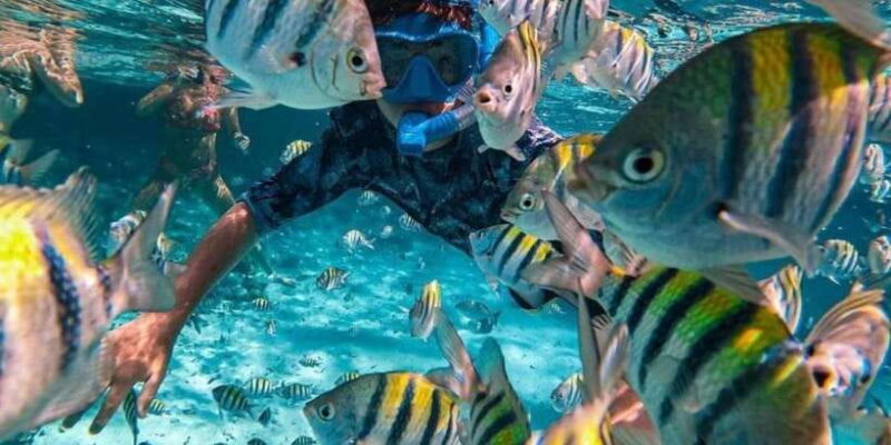 Candidasa : Best of Snorkling "Blue lagoon & Tanjung Jepun" - Who Is This Tour Best Suited For?