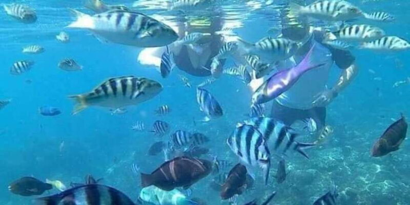 Candidasa : Best of Snorkling "Blue lagoon & Tanjung Jepun" - FAQ