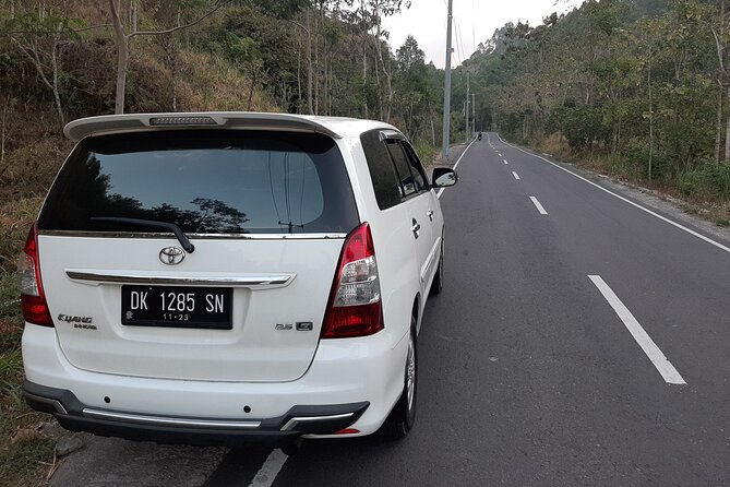 Candidasa Private Car with English Speaking Driver - Who Should Consider This Tour?