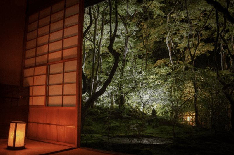Candlelit Zen: Evening Meditation at Kyoto's Secret Temple - Accessing the Hidden Temple