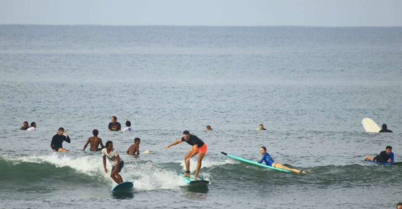 Canggu: 2-Hour Surf Course - The Sum Up