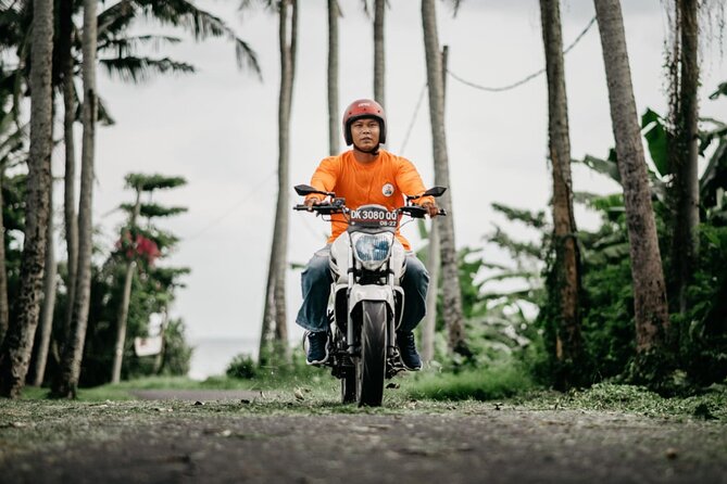 Canggu Motorbike Lessons - Why Travelers Love This Experience