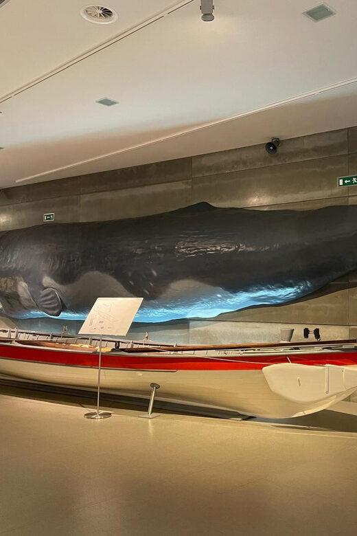 Caniçal : Madeira Whale Museum Entry ticket - Final Thoughts