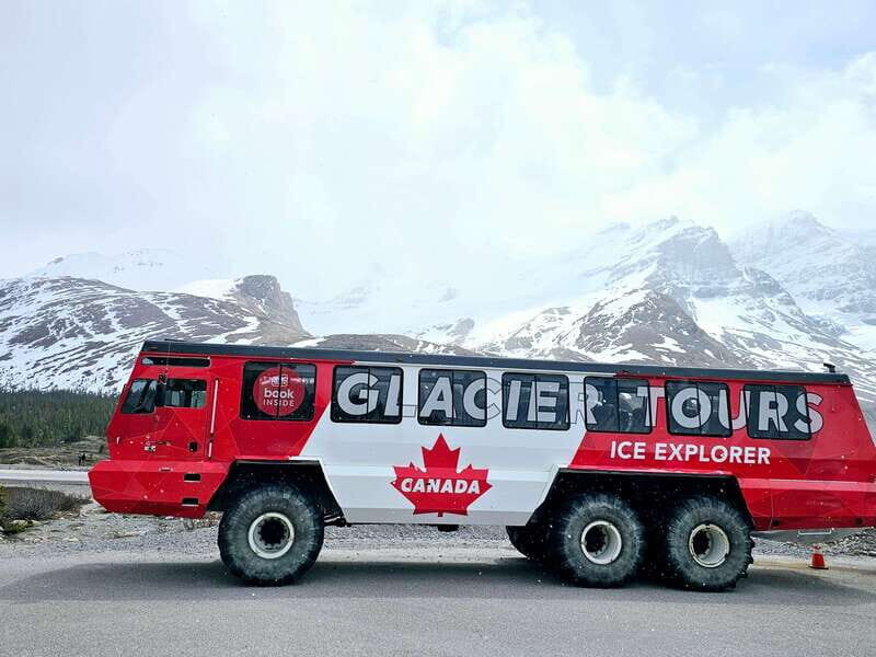 Canmore/Banff: Columbia Icefield, Skywalk, Peyto Day Tour - Key Points