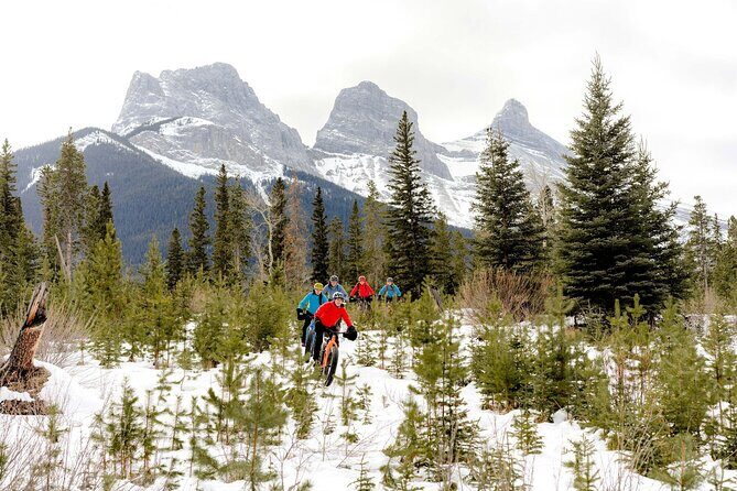 Canmore Explore Winter Wildlife Tracks 2hr Nature Walk - Starting Point and Duration
