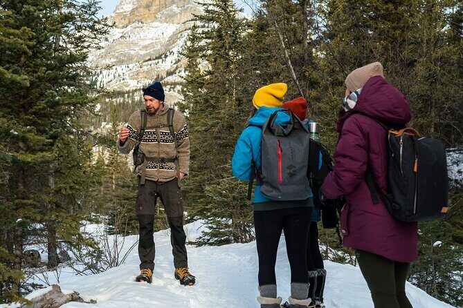 Canmore Explore Winter Wildlife Tracks 2hr Nature Walk - Suitable for Different Travelers
