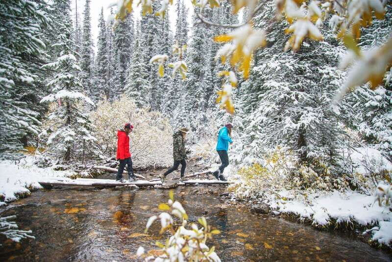 Canmore: Explore Winter Wildlife Tracks - 2hr Nature Walk - The Details of the Experience