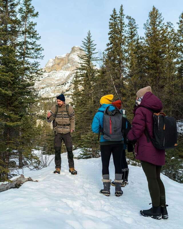 Canmore: Explore Winter Wildlife Tracks - 2hr Nature Walk - Why This Tour Is Worth Considering