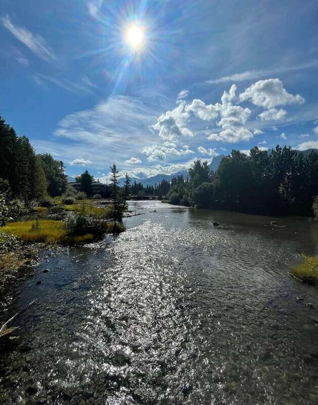 Canmore: Guided Town Walking Tour with Sweet Treat and Drink - Why This Tour Works Well
