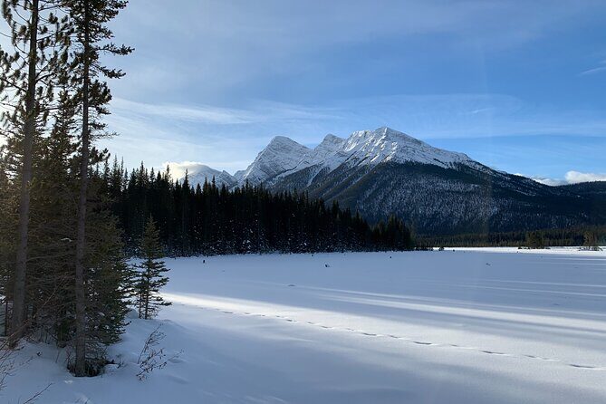 Canmore: Lost Towns and Untold Stories Hiking Tour - 3hrs - An In-Depth Look at the Tour Experience