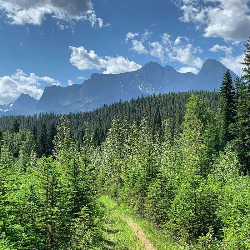 Canmore: LOST TOWNS and Untold Stories - Hiking Tour 3hrs - Key Points