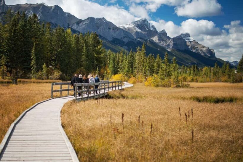 Canmore: Medicinal and Edible Plants, 2-hour Nature Walk - Who Should Consider This Tour?