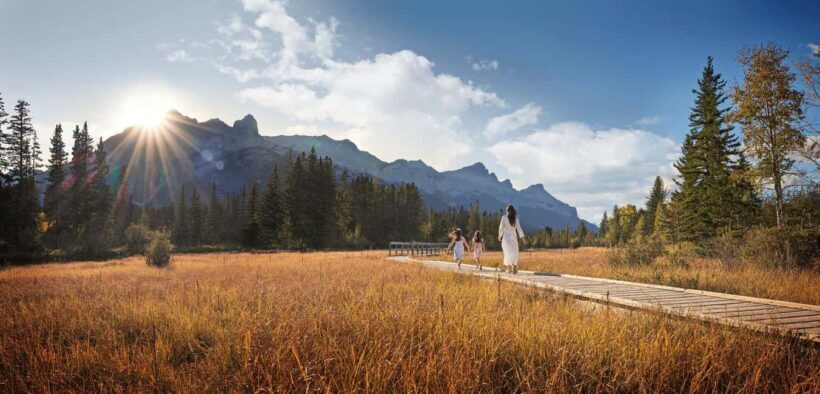 Canmore: Medicinal and Edible Plants, 2-hour Nature Walk - The Sum Up