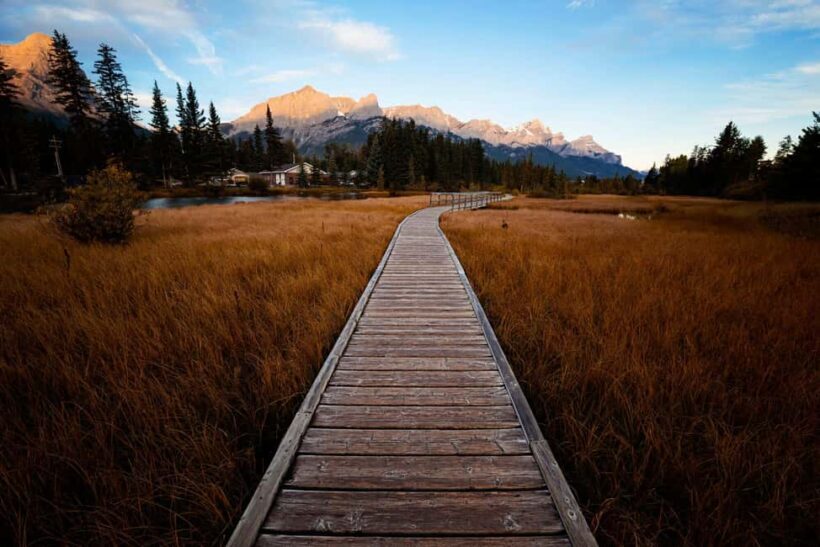 Canmore: Medicinal and Edible Plants, 2-hour Nature Walk - FAQ