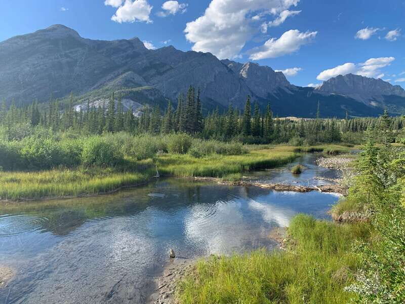 Canmore: PRIVATE SAFARI Drive to BANFF Park & Nature Walk - The Sum Up