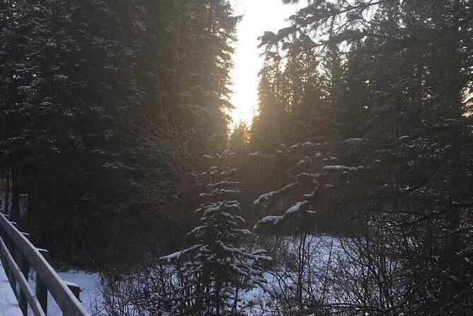 Canmore: Stargazing and Nature by Nightfall Walking Tour - 2hr - The Role of the Guide