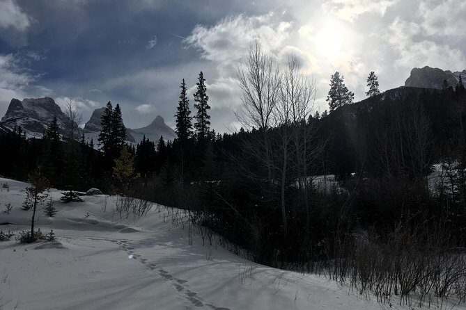 Canmore: Stargazing and Nature by Nightfall Walking Tour - 2hr - Who Will Love This Tour?