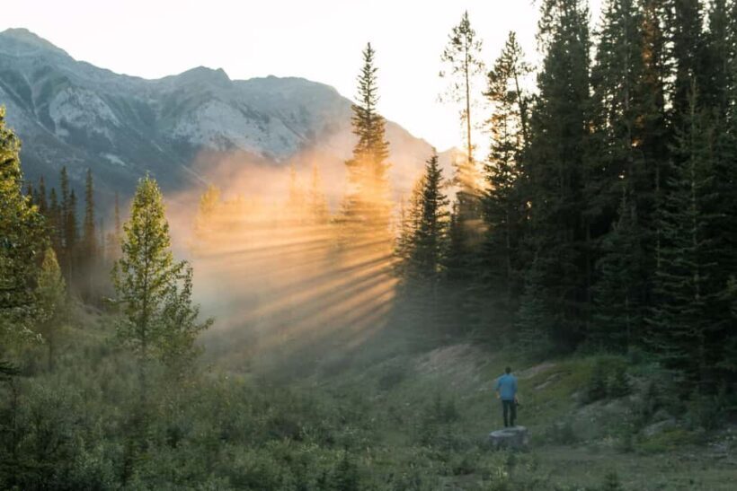 Canmore: Sunset Tour and Evening Nature Walking - A Closer Look at the Sunset Tour Experience