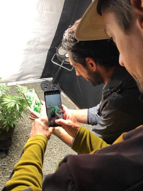 CANNABIS EXPERIENCE - An In-Depth Look at Colombia’s First Cannabis Tour