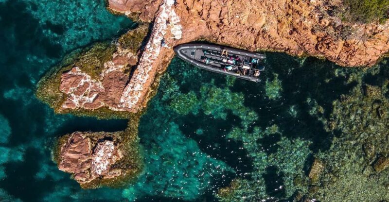 Cannes: 2.5-Hour Esterel Calanques Boat Excursion - FAQ