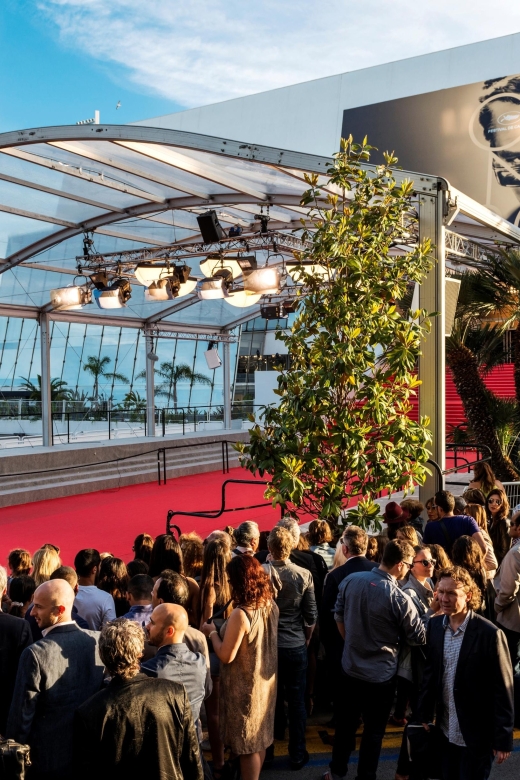 Cannes: City Tour in a Vintage Bus - What Travelers Are Saying
