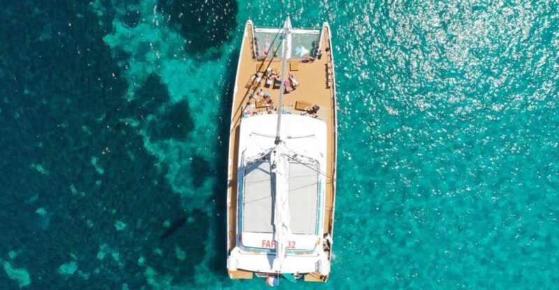 Cannes: Half-Day Catamaran Cruise - Authentic Feedback from Travelers