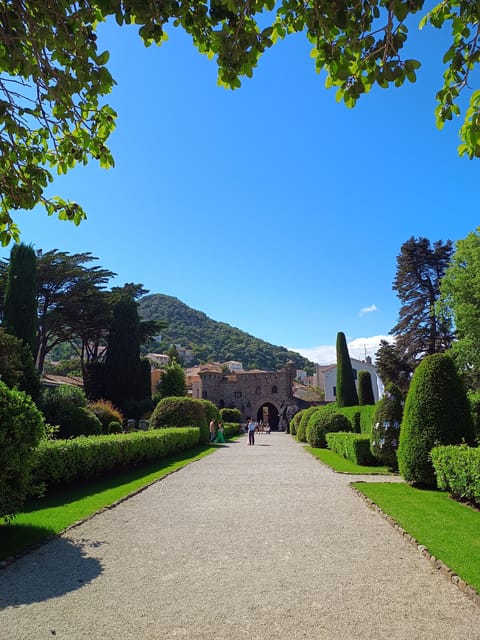 Cannes : Highlights guided Tour of the French Riviera - The Value of This Tour