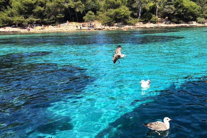 Cannes - Lerins Islands Private Boat Tour -Seabob Experience - Booking Information and Pricing