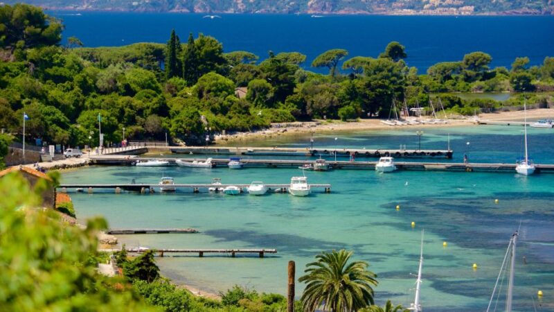 Cannes: Private Boat Trip to Lerins Islands & Cap d'Antibes - The Stops and Highlights